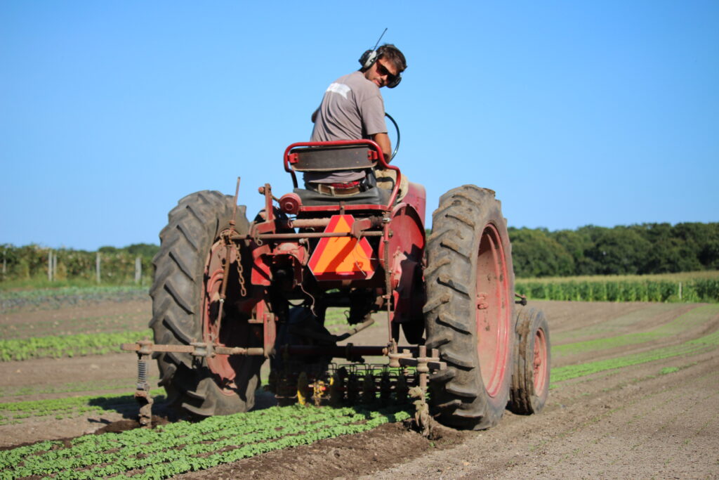 Employment - Morning Glory Farm