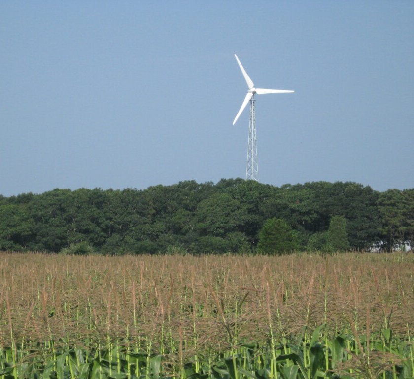ultimate - Morning Glory Farm