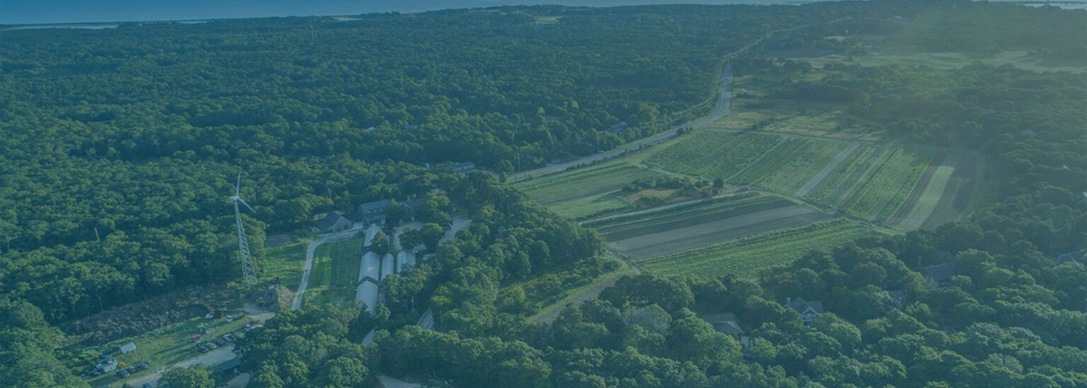 Home - Morning Glory Farm